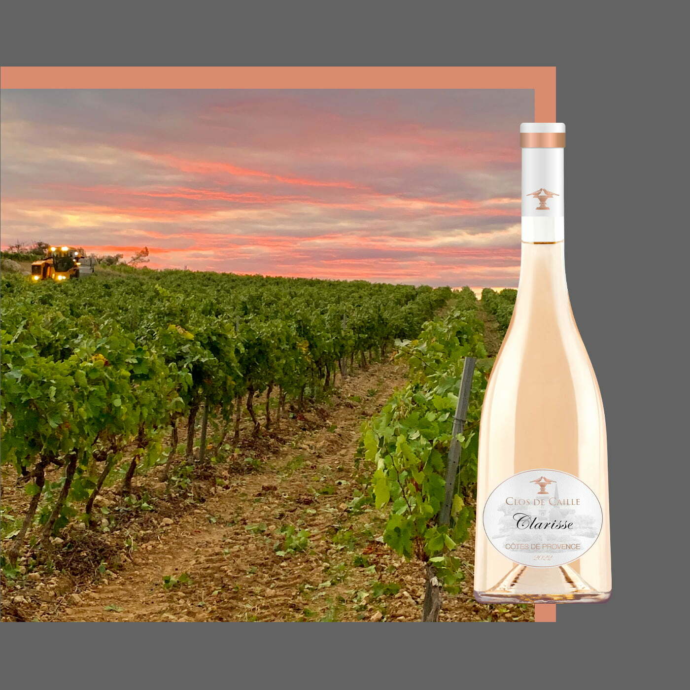 Clarisse Rosé - Clos de Caille